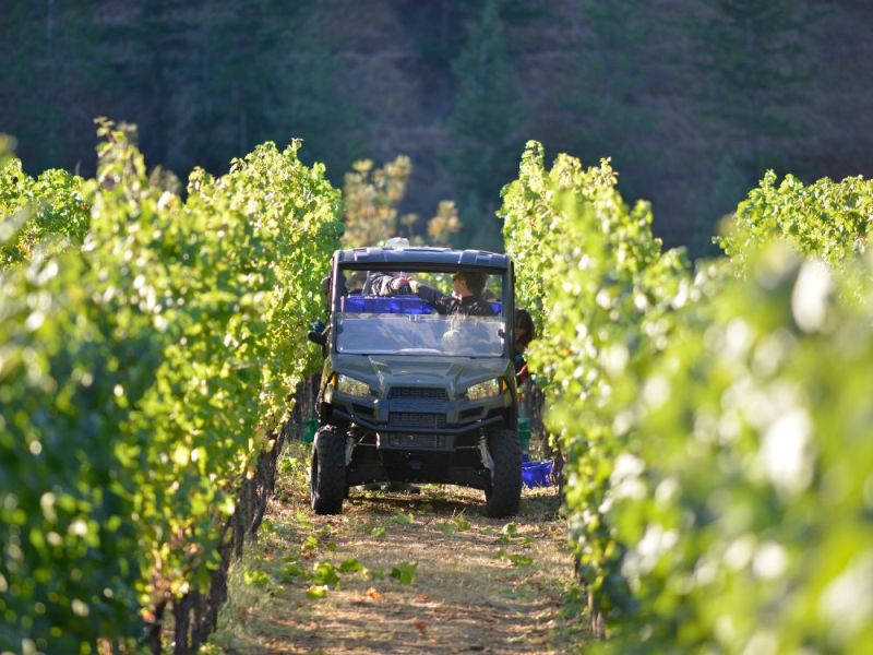 News - Lightning Rock Winery